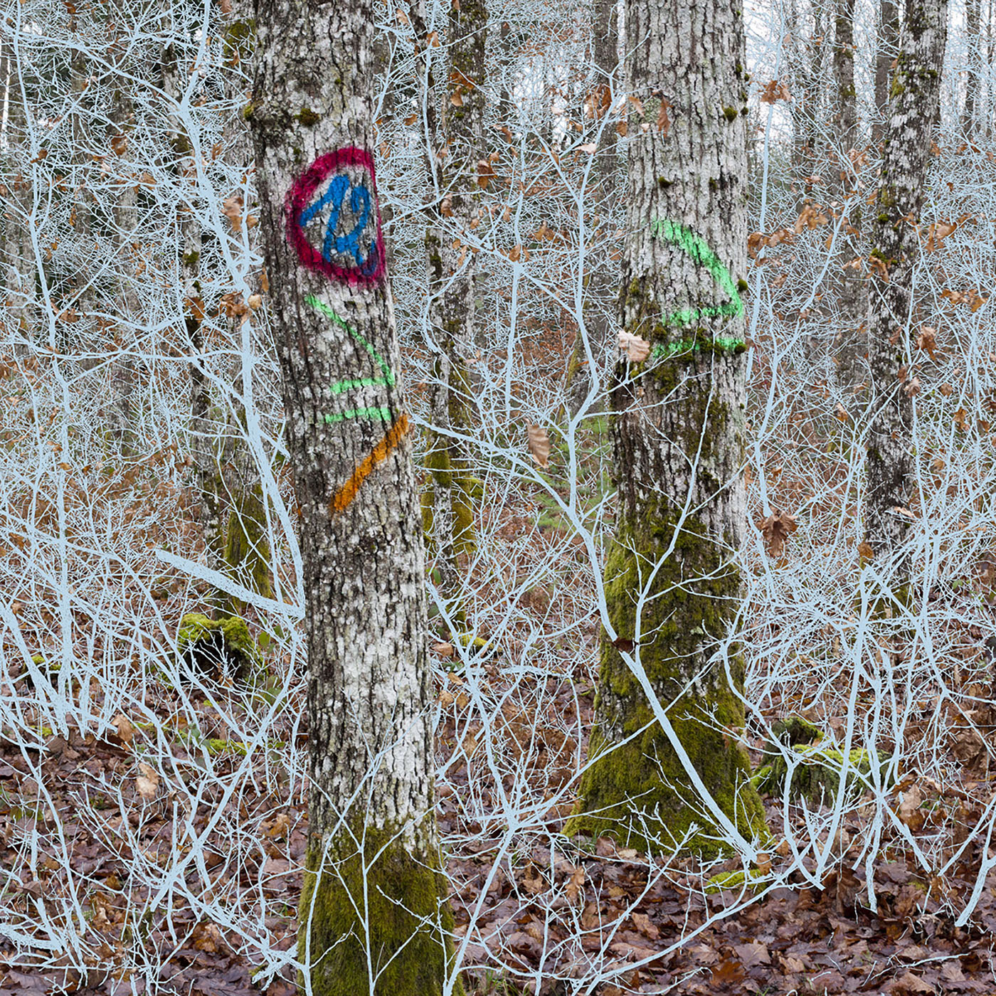 Helen Sear - Martin Asbæk Gallery Martin Asbæk Gallery