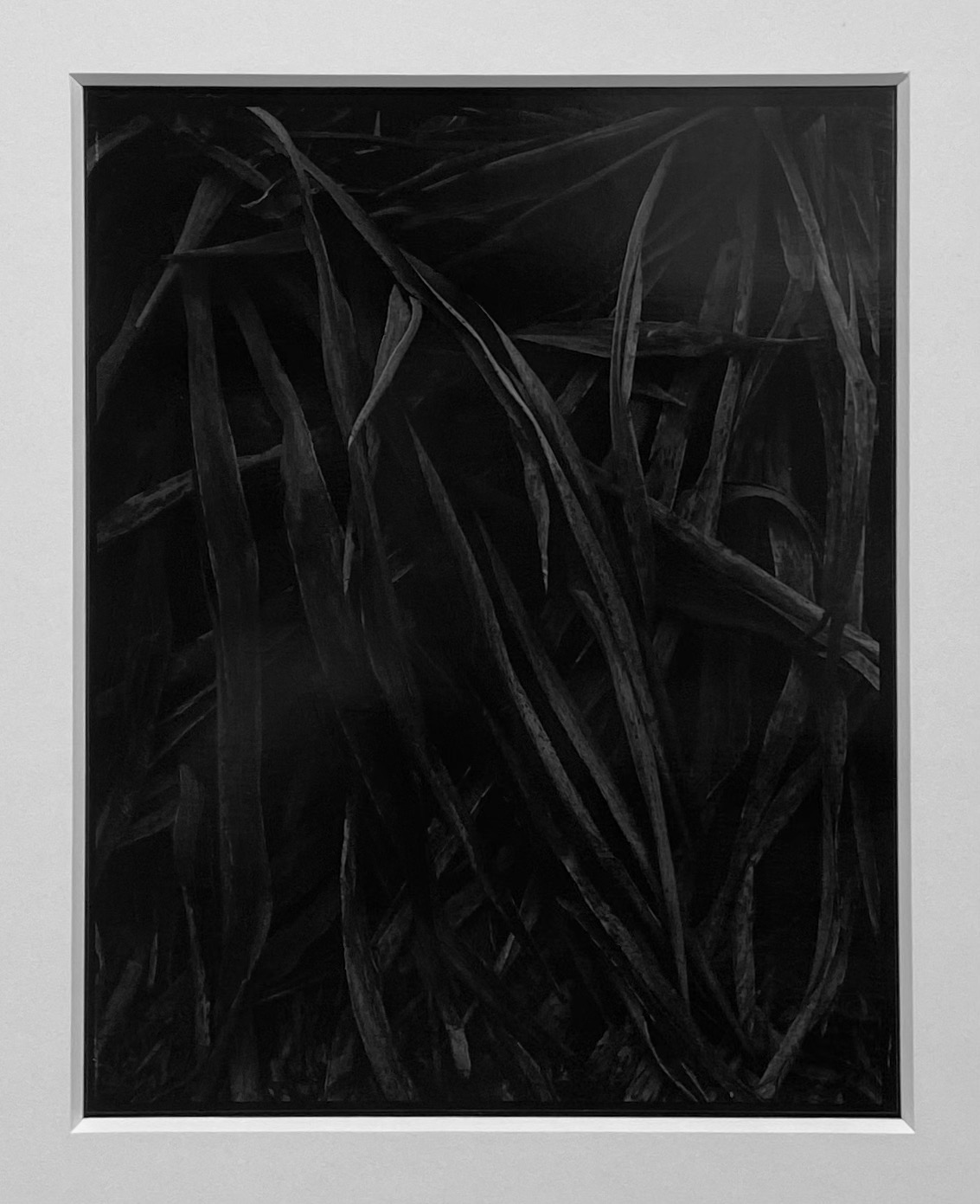 Ebbe Stub Wittrup - Martin Asbæk Gallery