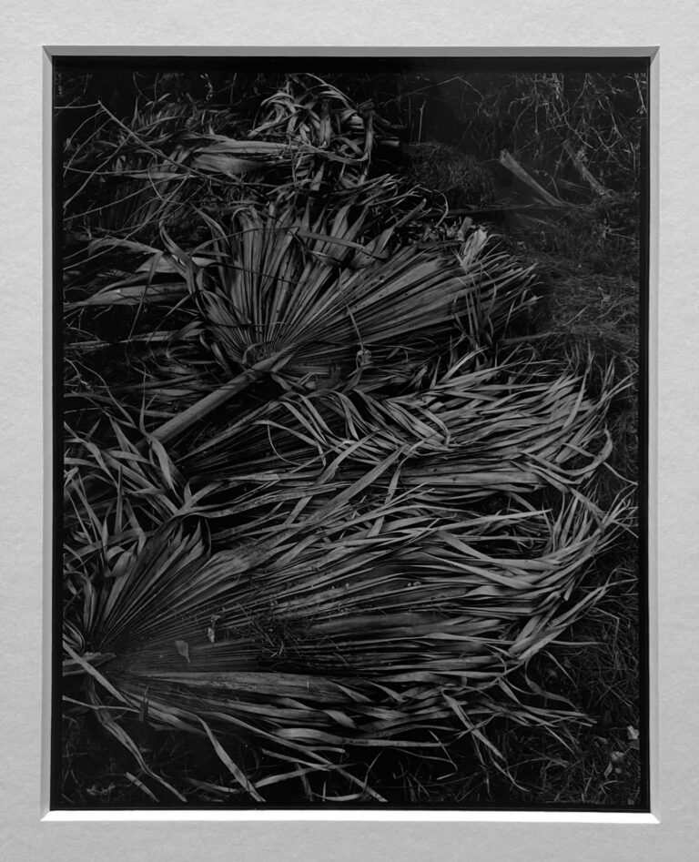 Ebbe Stub Wittrup - Martin Asbæk Gallery