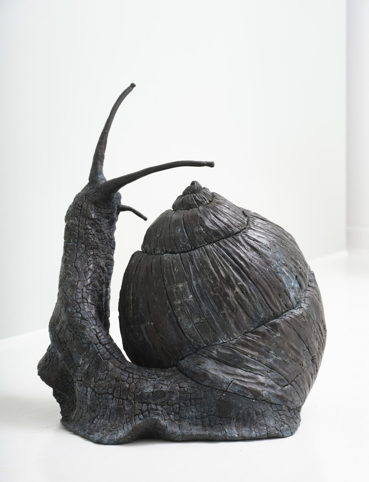 Maria Rubinke - Martin Asbæk Gallery